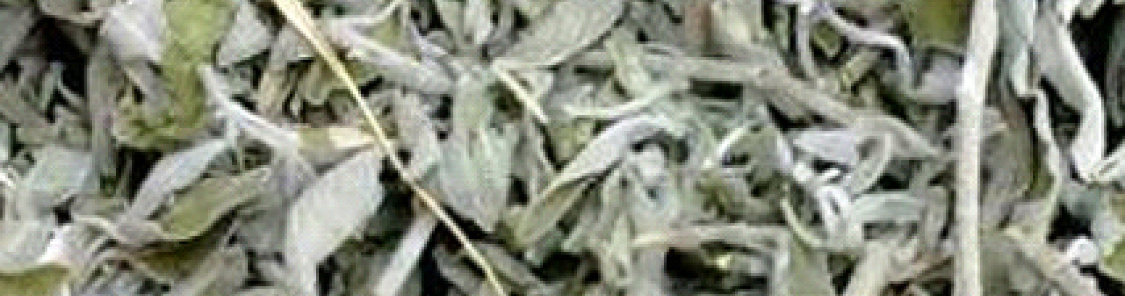 Adaçayı Tütsüsü